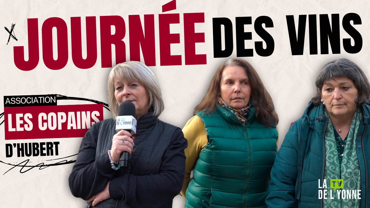Fête du Vin de Mézille : Une Tradition Conviviale à ne pas Manquer ...